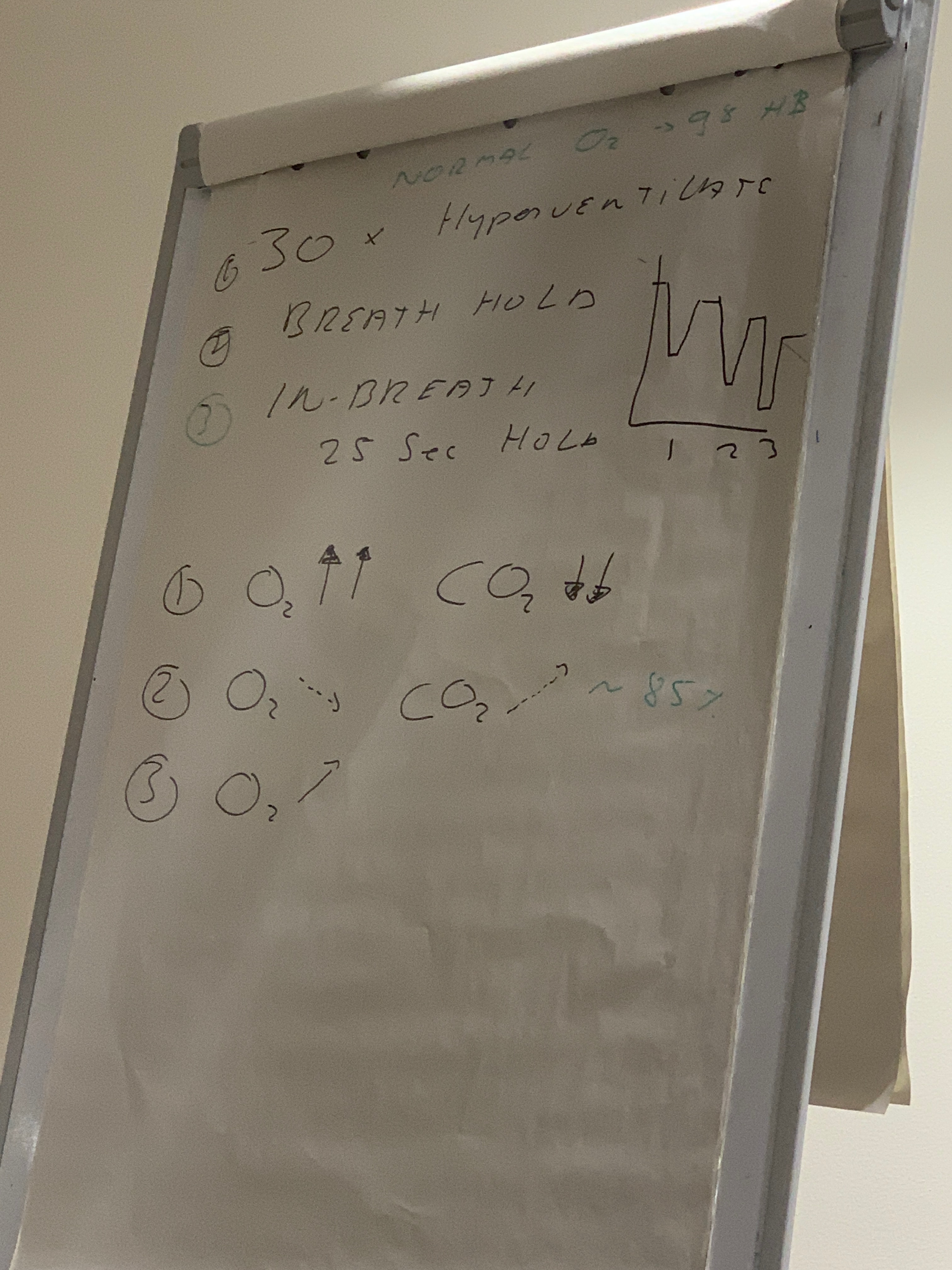 Breathing Workshop: Oxygen Advantage – Zestee