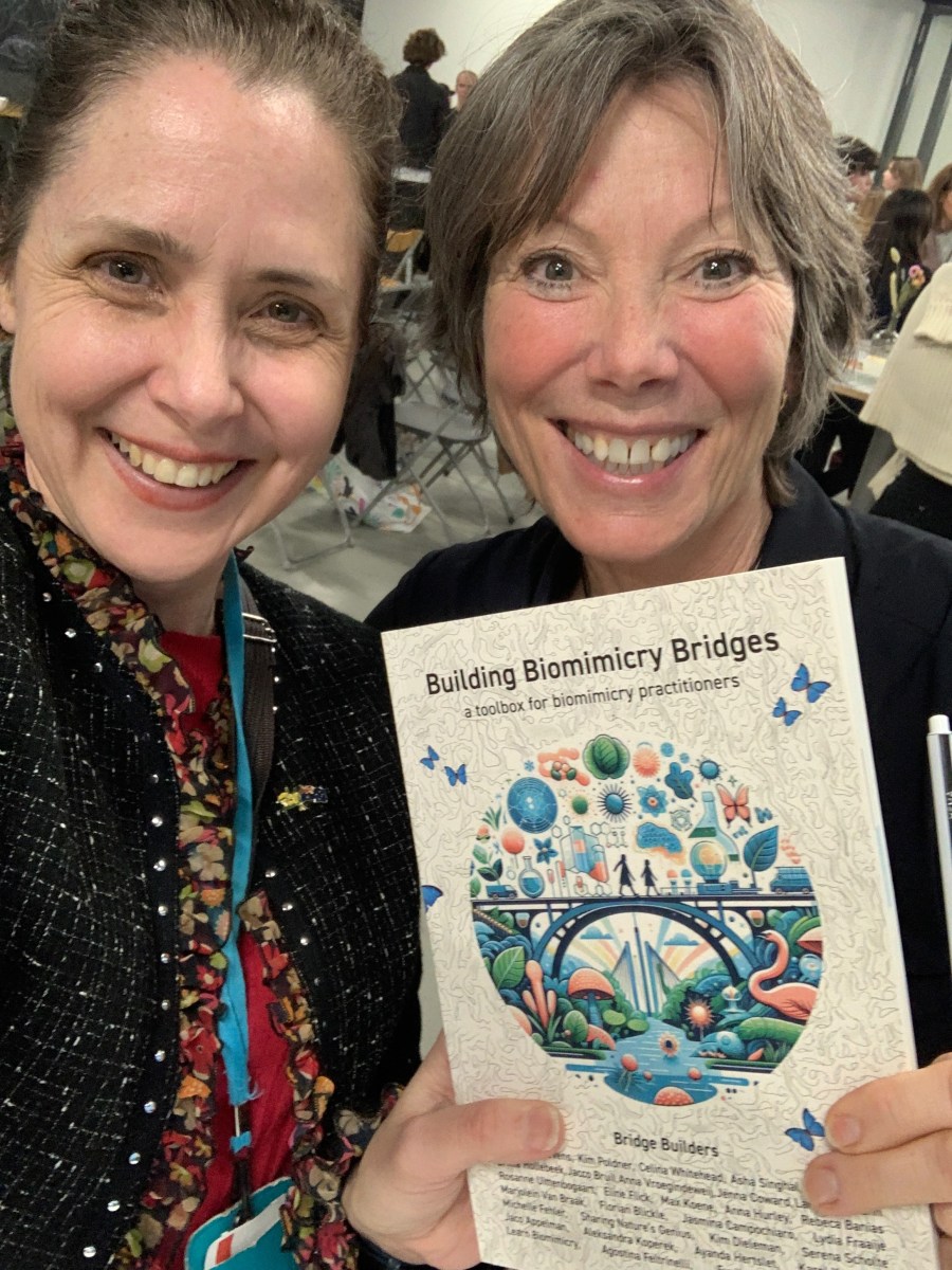Building Biomimicry Bridges Book Launch – Zestee