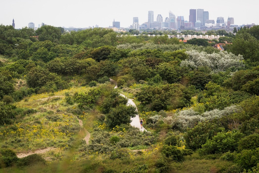 The Hague’s urban nature is being significantly expanded and ...